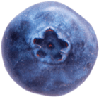 Phyll | A better smoothie is here!